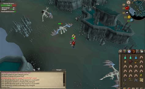 Loot From 1 Fossil Island Wyvern R 2007scape