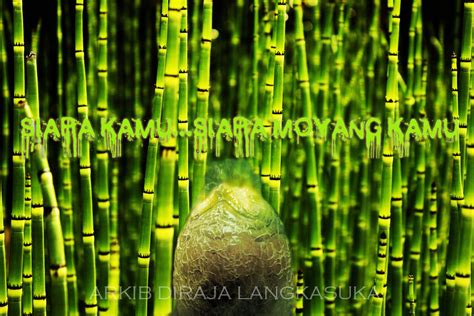 Arkib Diraja Langkasuka Puteri Buluh Betong