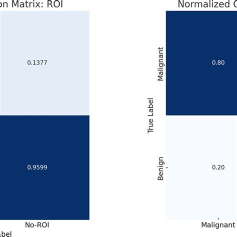 Normalized Confusion Matrix For The Source And Target Models A