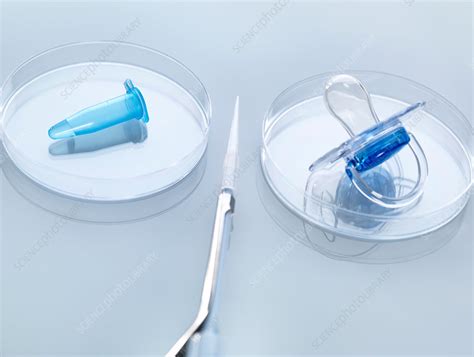 Scientific Cloning Genetic Experiment Stock Image F0240939