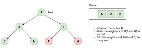 Breadth First Search Algorithm Learnitweb