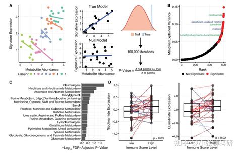 肿瘤代谢组学分析不会做？带你深度细节解析29分文章思路 知乎