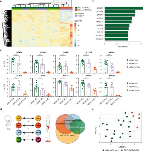 Differential Gene Expression Program At Ina Lillard Blog