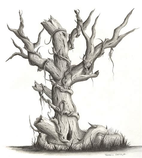 Spooky Tree Drawing At Explore Collection Of