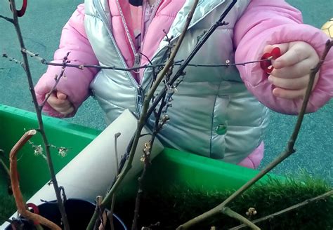 Chidrens Nursery Rotherham Parkgate Granby Nurseries 01709 710709