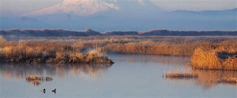 Du National Staff And Board Of Directors Ducks Unlimited