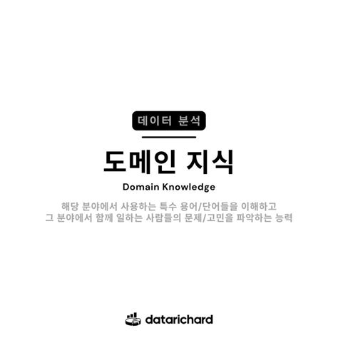 linkedin datarichard 페이지 데이터 분석에서 강조하는 [도메인 지식]이란 datarichard와 함께