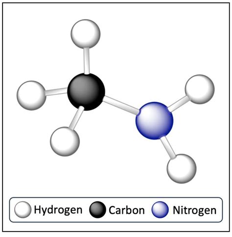 Naming Amines Practice Problems Test Your Skills With Real Questions