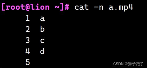 【linux的目录和文件管理】 linux cat子文件夹 csdn博客