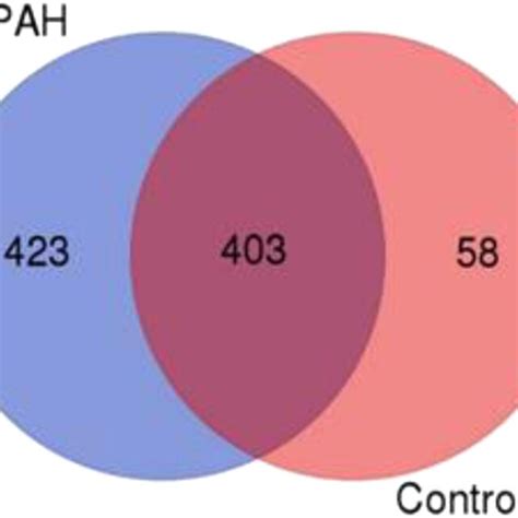 venn diagram of protein identification overlap between idiopathic