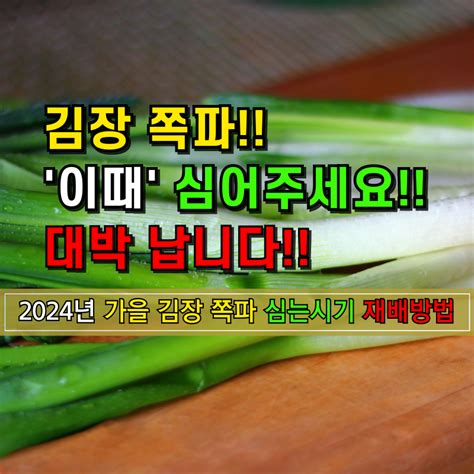 2024년 가을 김장 쪽파 심는 시기 및 재배방법 알아보기
