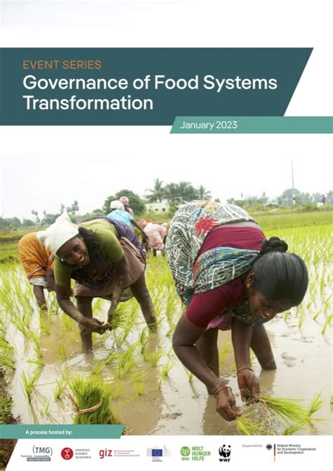 Governance Of Food Systems Transformation