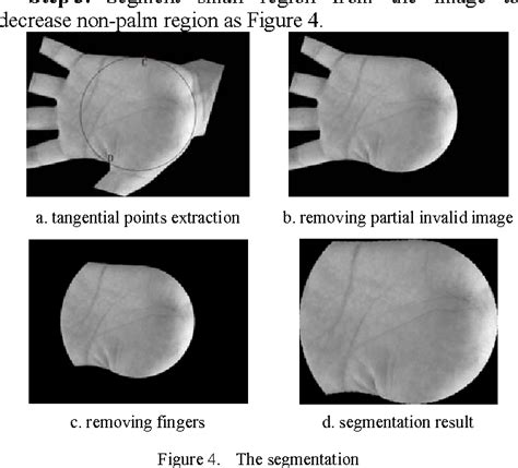 Figure 4 From A Novel Palmprint Segmentation And Recognition Algorithm Semantic Scholar