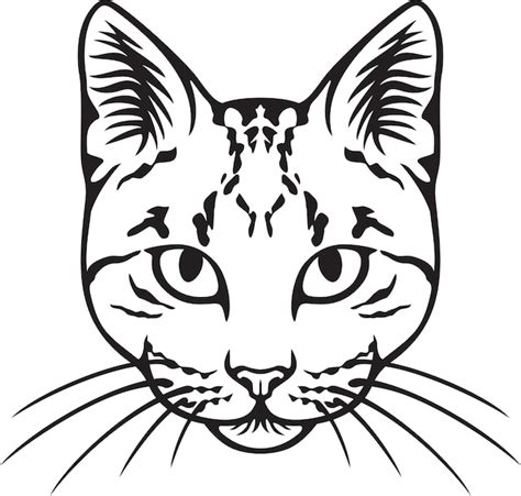 Premium Vector Cat Face