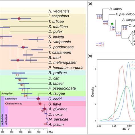 Species Tree Duplication Ratio And 4dtv Of Cinara Cedri A Download Scientific Diagram