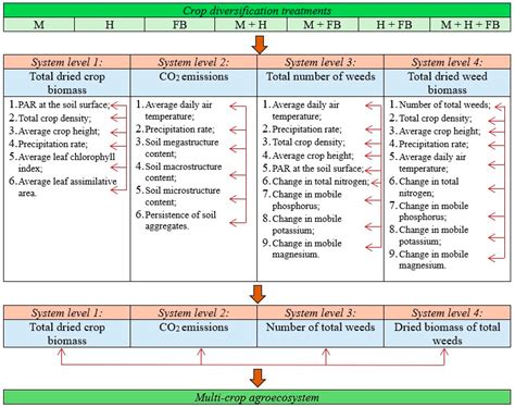 Comprehensive Assessment Of The Effect Of Multi Cropping On Agroecosystems