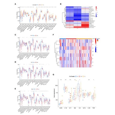 Biological Characterization And Consensus Clustering Analysis Of Download Scientific Diagram