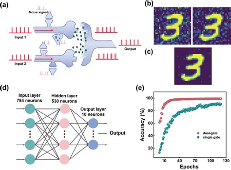 A Illustration Of A Hetero Synapse Performing Spatiotemporal Signal