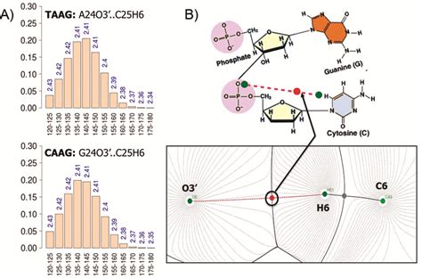 A Distribution Of C6 H6···o3 Angles In Rpy Steps Structures With Download Scientific Diagram