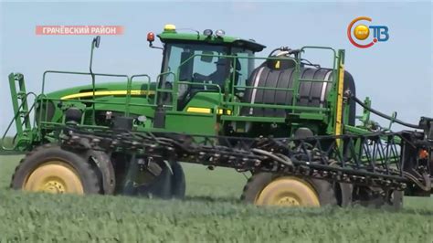 Как вырастить пшеницу но не пахать при этом в поле Youtube