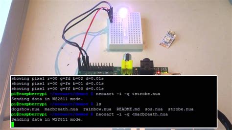 Raspberry Pi Neopixel Wiring Neopixel Raspberrypi Neopixels