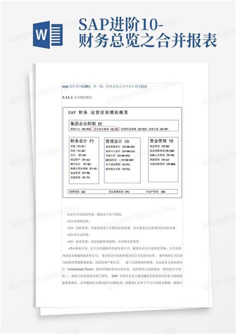 Sap进阶10 财务总览之合并报表word模板下载 编号qmoaxpvd 熊猫办公