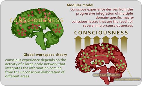 Frontiers The Neural Correlates Of Consciousness And Attention Two Sister Processes Of The Brain