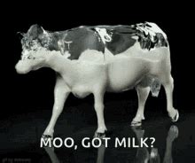 Milking  S Tenor