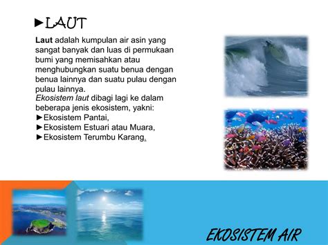 Ekosistem Darat Dan Air Ppt