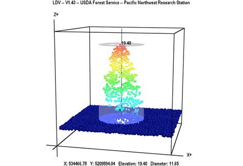 Lidar Based Measurement Of Individual Tree Height Within A Ponderosa