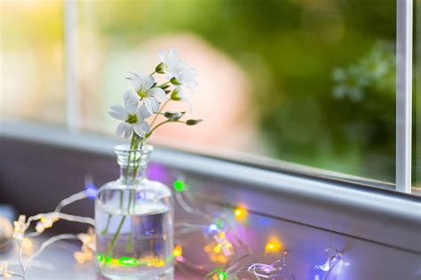 일광 창 근처 유리 병에 근접 아름 다운 흰 꽃 화려한 화 환 조명으로 배경을 흐리게 3월에 대한 스톡 사진 및 기타 이미지 3월 8 갈란드 장식품 Istock