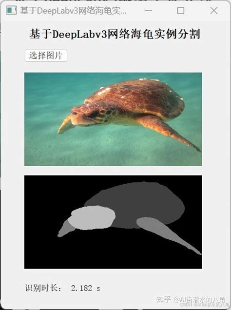 语义分割实战基于DeepLabv 海龟实例分割系统源码 知乎