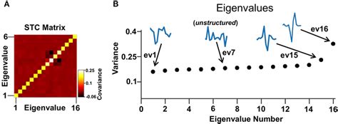 Stc Analysis A An Example Of A Stc Matrix Of A Representative Download Scientific Diagram