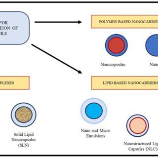 Skin Layer Structure And Penetration Routes A Intercellular B Download Scientific Diagram