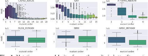 Accurate And Definite Mutational Effect Prediction With Lightweight Equivariant Graph Neural