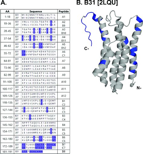dbpa peptide arrays for b burgdorferi strains b31 and 297 a tabular