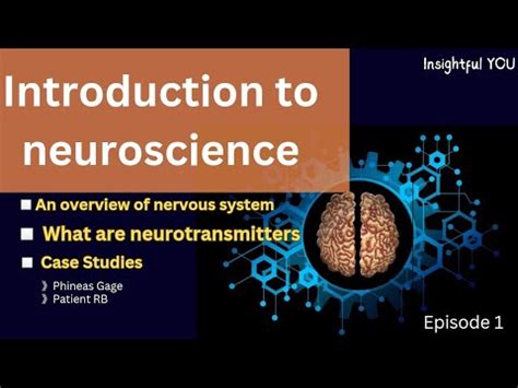 What Is Nervous System Intro To Neuroscience Neuroscience