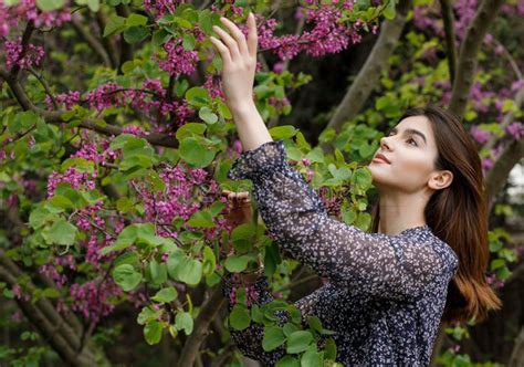 Pretty Brunette Girl Standing Near Blooming Tree Raising Hand Looking Up Touching Blossom