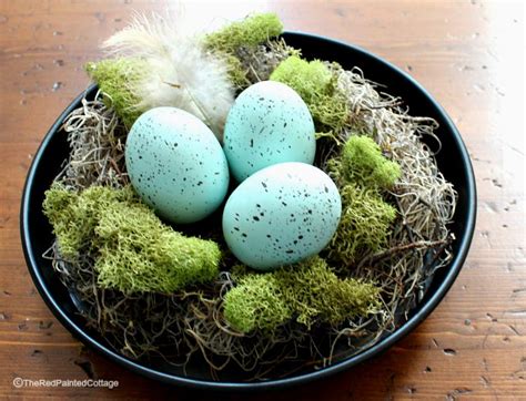 See How To Make An Easy Bird Nest In Five Minutes The Red Painted Cottage