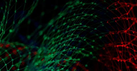 The Future Of Risk Management Embracing Automation For Better Decision Making