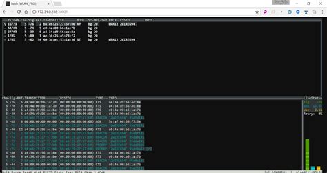 Bottom Menu Line Lost With Application Issue Xtermjs Xterm Js GitHub