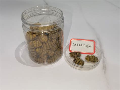 Buy Dendrobium From Beijing Nuruo International Trade Co Ltd China