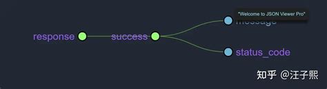 介绍我经常使用的两款轻便易用的 JSON 工具 知乎