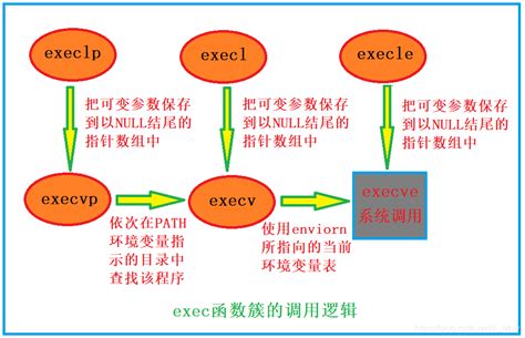 Linux 进程控制详解（进程创建进程终止进程等待进程程序替换）linux操作系统进程的创建与并发控制程序 Csdn博客
