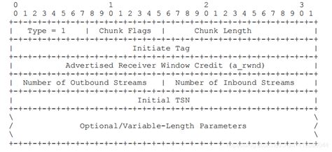 信令传送协议 Sctp协议解析 Csdn博客
