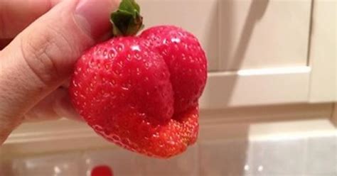 When You Dont Know If You Can Control Yourself So You Eat A Kernel To Distract You Album On