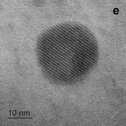 SEM Image SE Contrast Structure And Elemental SEM EDS Mapping Of The Download Scientific