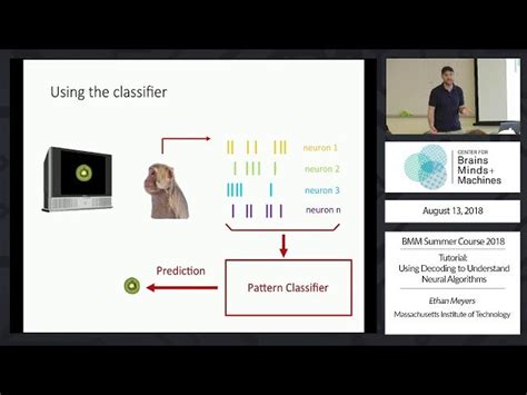 Free Video Using Decoding To Understand Neural Algorithms From Mitcbmm Class Central