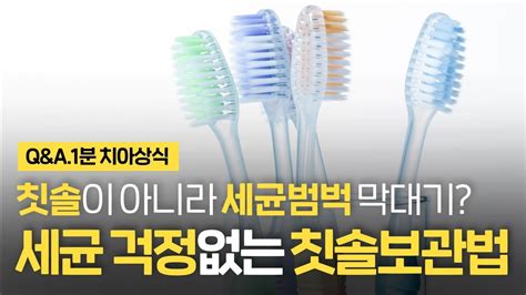 세균 걱정없이 칫솔을 보관하는 방법은 소금물 혹은 식초물에 보관하시나요 Youtube