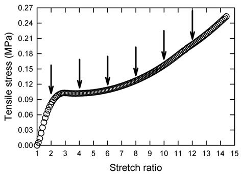 Gels Free Full Text Consolidation And Forced Elasticity In Double
